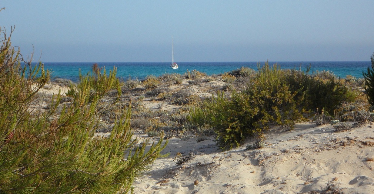 The Natural Parks of Mallorca - Mobility Mallorca